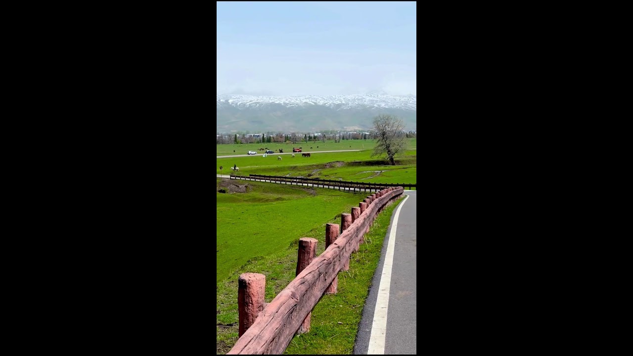 Splendid China: Majestic Landscapes & Zen Nature 🇨🇳🏔️