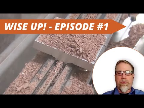 Motion Minute: "Wise Up!" - Episode 1