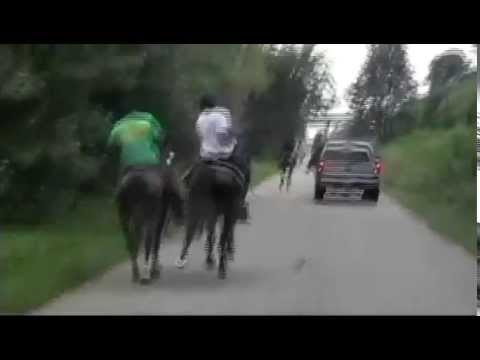 Big Money Stables Trail Riders Texarkana, Texas