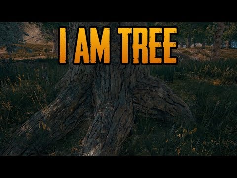 Steam Community :: Video :: PlayerUnknown's Battlegrounds - I Am Tree