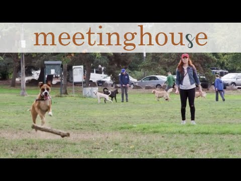 Pet-Friendly Apartments For Rent In Portland Oregon