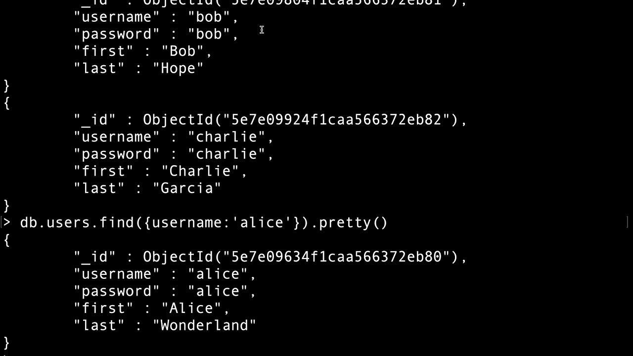 Connecting to Mongo DB from Node JS with Mongoose cs5610 sp20 12208