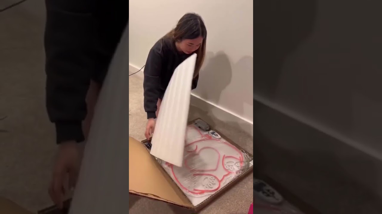 Corgi neon unboxing 1