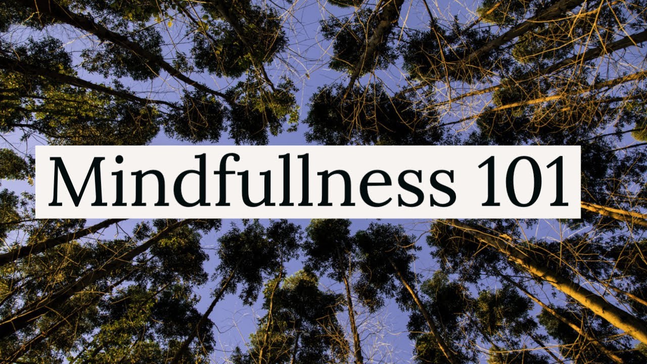 Mindfulness 101 with Stephen Del Giudice, MD