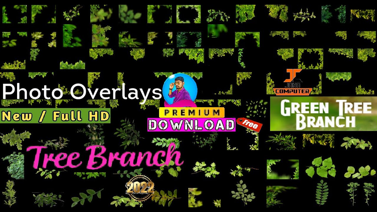 100+Tree 𝐆𝐫𝐞𝐞𝐧 𝐁𝐫𝐚𝐧𝐜𝐡𝐞𝐬 PNG for Photoshop || 𝐋𝐞𝐚𝐟𝐬 𝐏𝐍𝐆 Files Download for FREE  || Green Branches