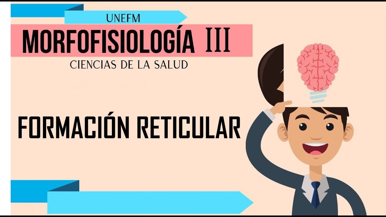 TEMA: FORMACIÓN RETICULAR
