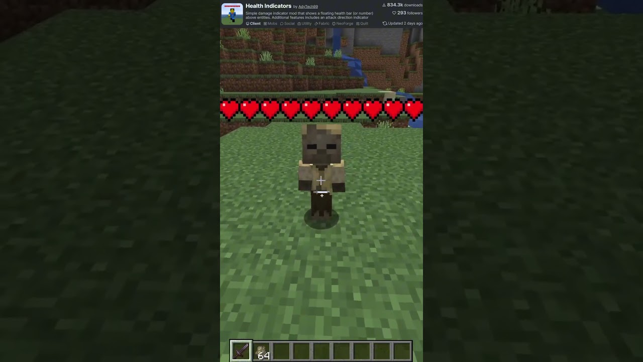 The Health Indicators Mod #shorts