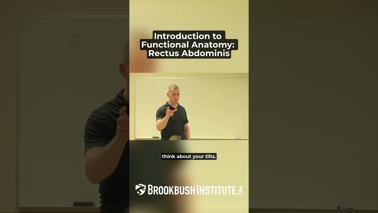 Introduction to Functional Anatomy: Rectus Abdominis