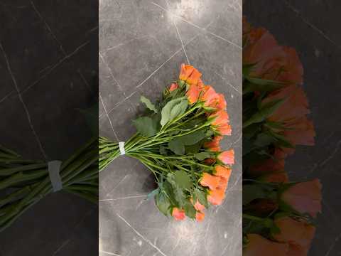 EASIEST Spiral bouquet technique for beginners HOW TO MAKE A SPIRAL HAND TIED BOUQUET OF ROSES #diy