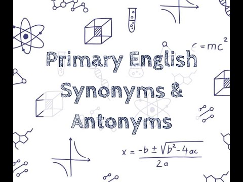 Primary English - Synonyms & Antonyms