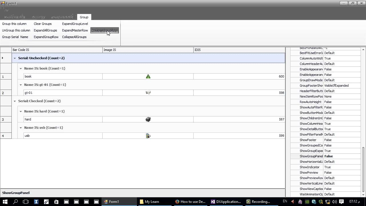 048 011 DataGrid - (Grouping) - Functions - CollapseGroupRow
