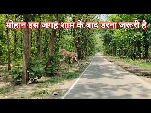 Mohan Jim Corbett National Park || Audiobook Jungle || Documentary in Hindi || इस जगह डरना जरूरी है