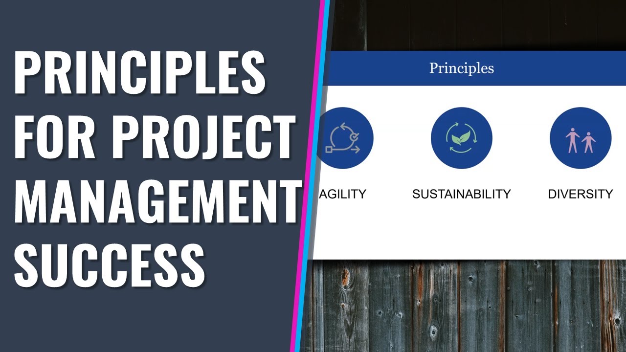 Principles for Project Management Success #ProjectManagement #ProjectSuccess