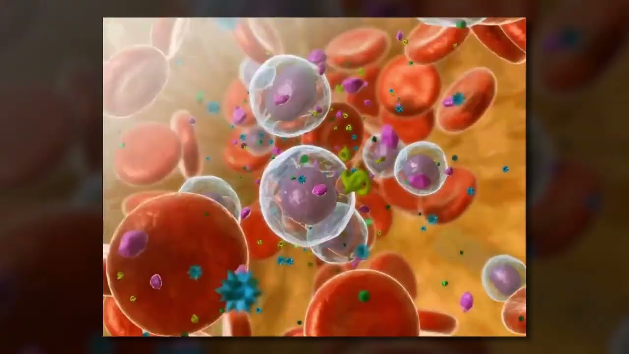 Visible Body | Lymphatic System Virtual Tour