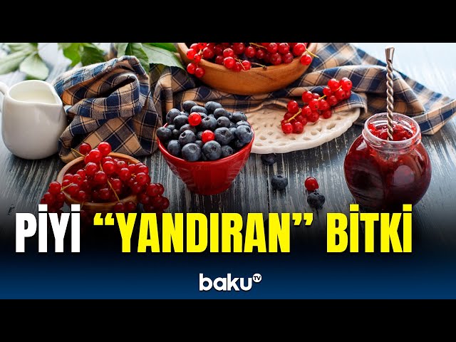 Piyi "yandıran" bitki - Gündə 300 qram kifayətdir - Oxu.az