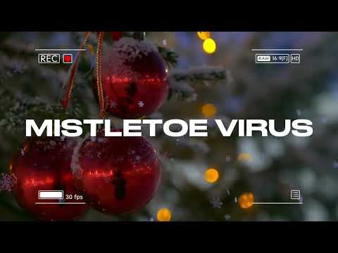 (08/30/2024) Dollar Tree Plastic Candy Cane & tinsel character Christmas Tree Craft