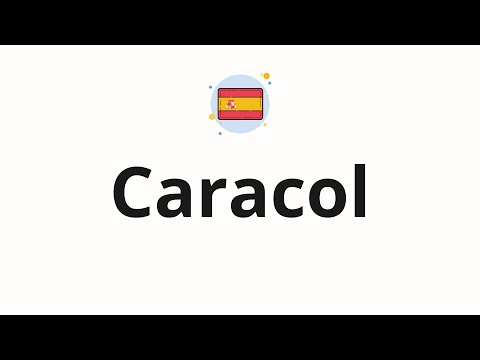 How to pronounce Caracol (Snail in Spanish)