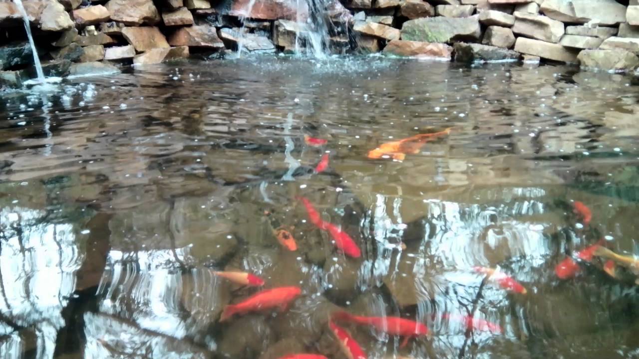 Trimble Kenai sample video 1080p