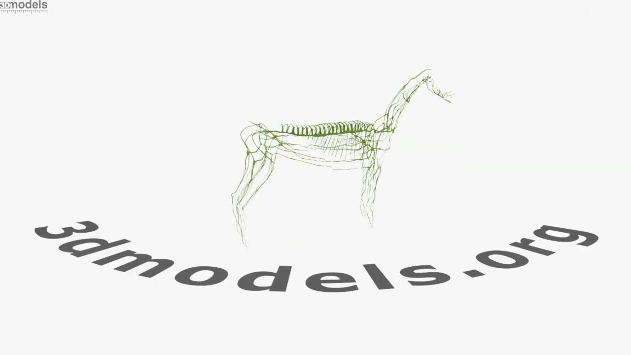 Horse Lymphatic System 3D model by 3DModels.org