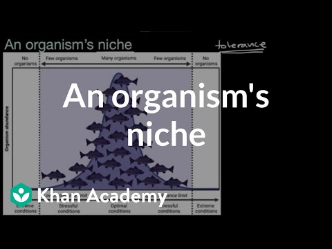 An organism's niche | Ecology and natural systems | High school biology | Khan Academy