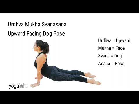 Upward Facing Dog Pose, Urdhva Mukha Svanasana, Sanskrit Pronunciation