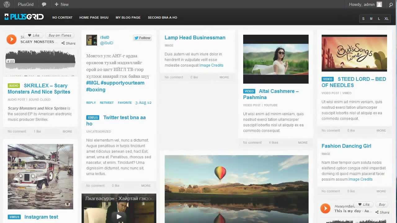 Theme Options panel of the PlusGrid theme