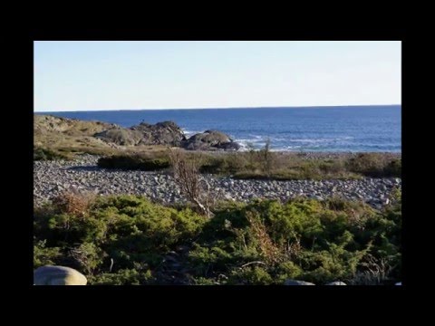 Mølen Pictures - Music by Mozart ( Eine Kleine Nachtmusik )