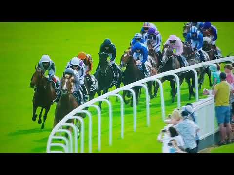 Derby 2019-anthony van dyke