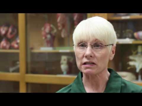 Your Guide To Academic Advising Terminology