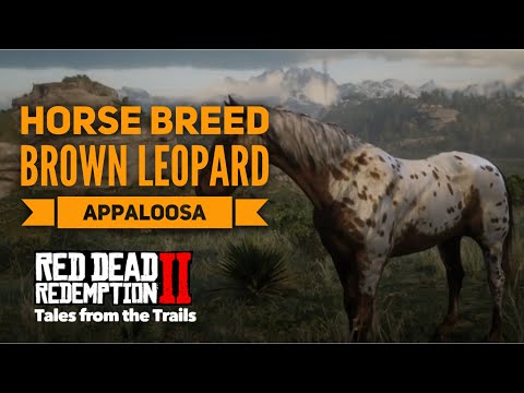 Steam Community :: Video :: Red Dead Redemption 2: Horse Breed - Brown ...