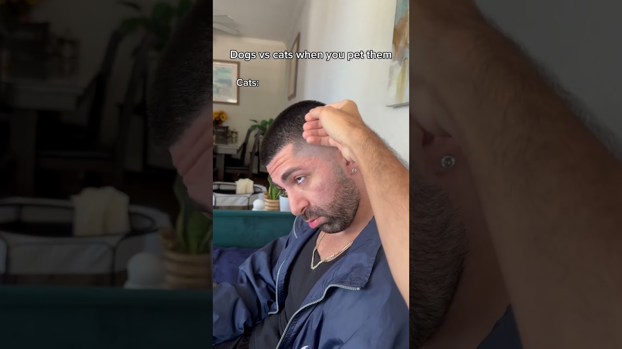 Dogs vs cats when you pet them. #shorts #skit #funny