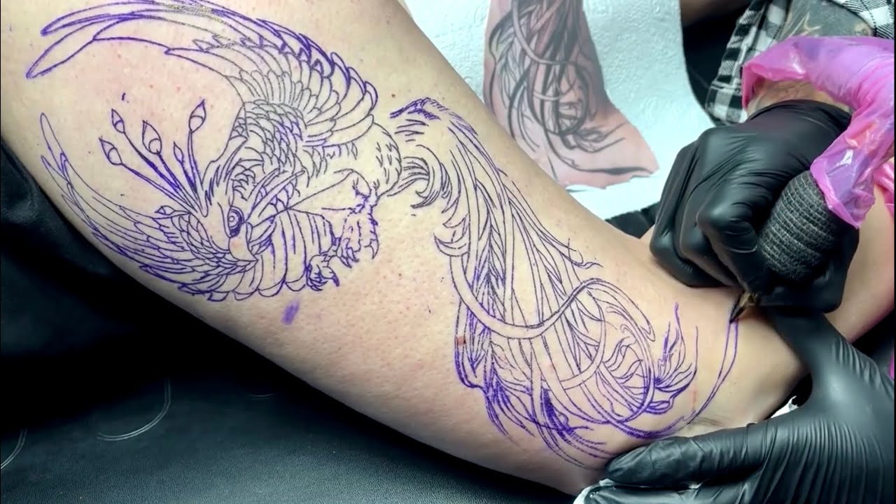 Phoenix Bird/ Tattoo on Leg/ Time Lapse/ Part 1
