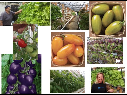 You Are What You Eat - Heidi Hirsh and Joseph Rosanova