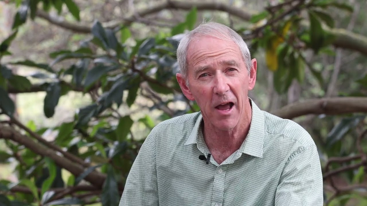 Make Victoria Greener