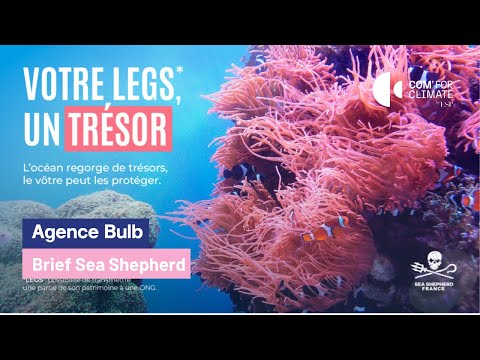🚀 L'agence Bulb, shortlistée du brief SEA SHEPHERD pour la 3e édition de Com' for Climate