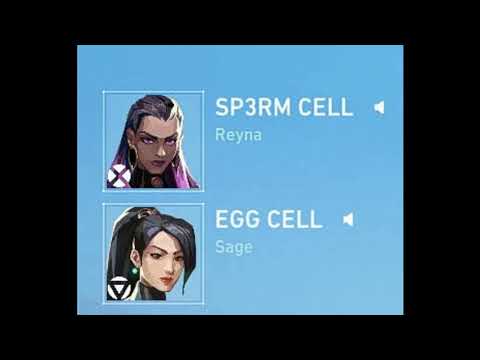 These Valorant Duo names MUST be stopped