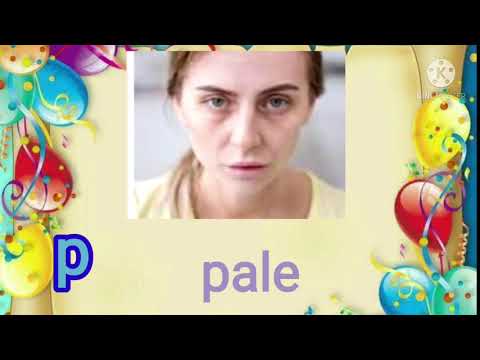 WORDS/OBJECT THAT START WITH LETTER Pp/SAREH