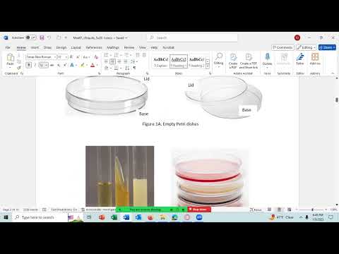 2025 01 09 18 34 02 MicroLab6 30
