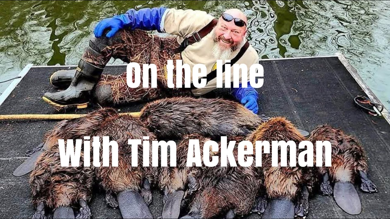 On the line with Tim Ackerman
