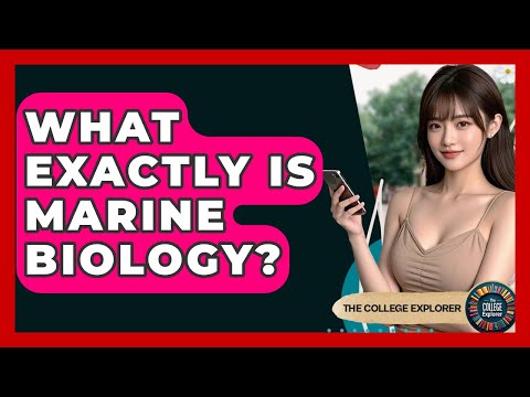What Exactly Is Marine Biology? - The College Explorer