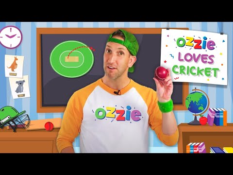 Learn To Play Cricket for Kids | Cricket Explained for Beginners with Ozzie