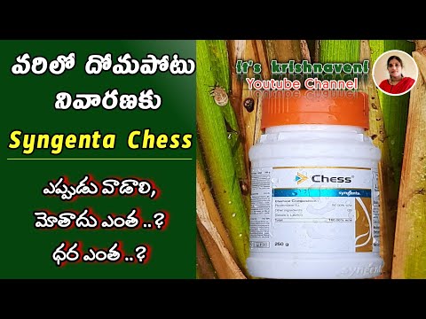 Syngenta Insecticide - Latest Price, Dealers & Retailers in India