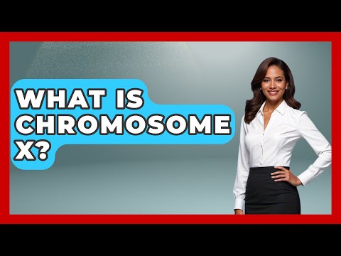 What Is Chromosome X? - Biology For Everyone