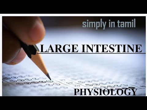 Large intestine |Physiology |digestive system |Explanation in Tamil |Sukumiii