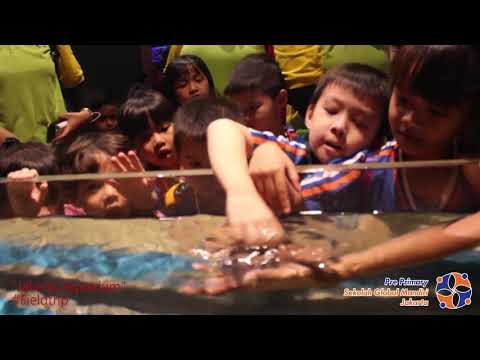 FIELD TRIP TK Sekolah Global Mandiri #part1