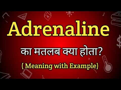 Adrenaline Meaning in Hindi | Adrenaline Ka Matlab kya Hota hai | English to Hindi dictionary