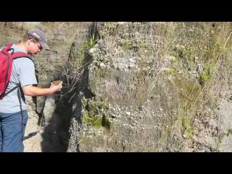 UTAS SET Profile - Dr Nic Jansen - ARC CODES - ore deposits