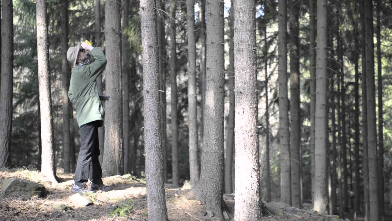 Field-Map Technology