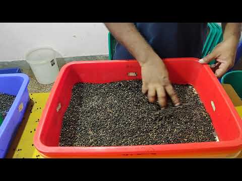 Hand Sieve at Best Price in India