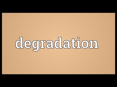 Degradation Meaning